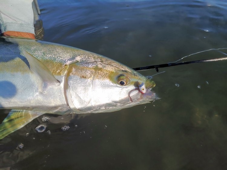 How To Tie A Double Barrel Popper Fly – Taurangas only local saltwater ...